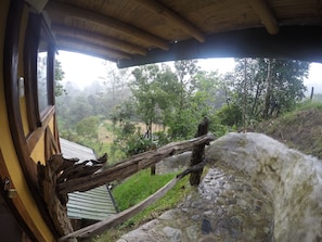 Suíte, vista para a montanha (Mirlas) | Vista do quarto