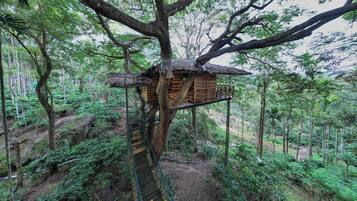 Uma casa na árvore com telhado de palha, rodeada por uma floresta densa.
