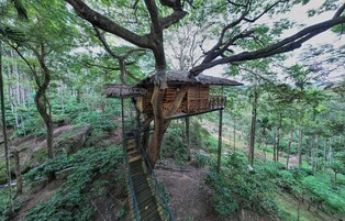 Uma casa na árvore com telhado de palha, rodeada por uma floresta densa.