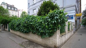 Um edifício com parede de tijolos parcialmente coberta por folhagem verde.