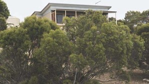 Uma casa moderna com telhado plano, rodeada por árvores verdes e densas.
