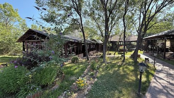 Jardim