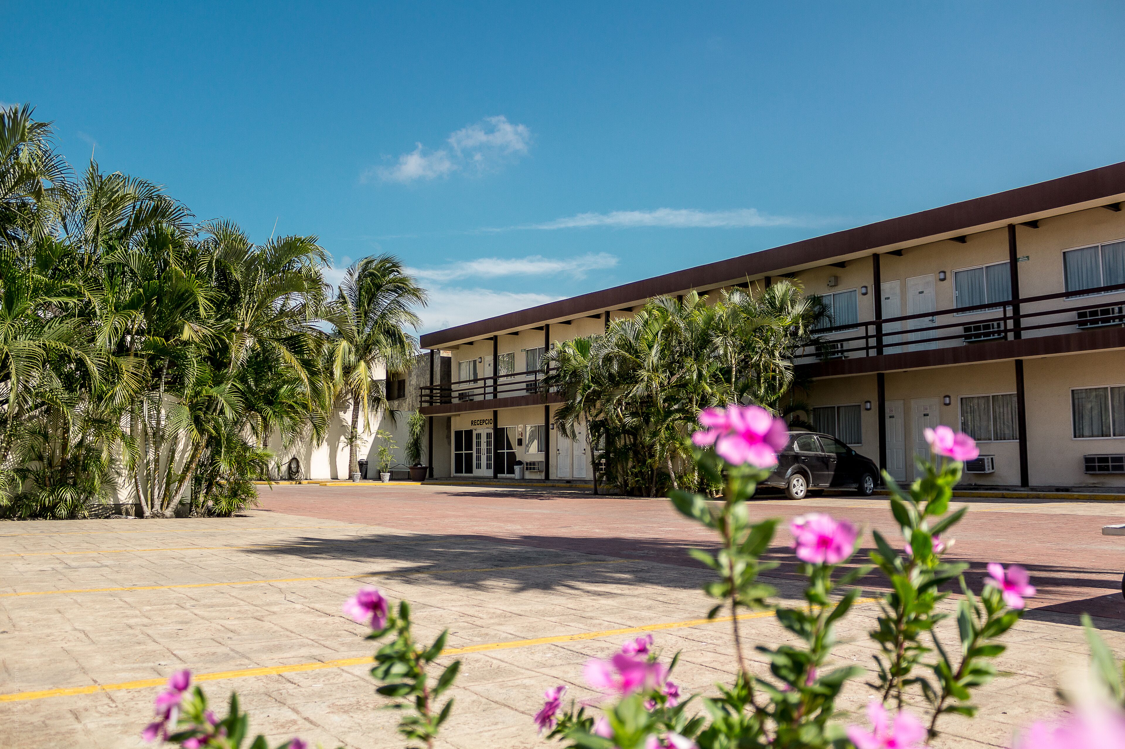 Estacionamento grátis sem manobrista
