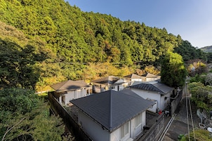 Área residencial com casas cercadas por floresta densa.