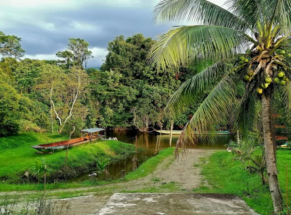 Mulu Diana Homestay - Sarawak