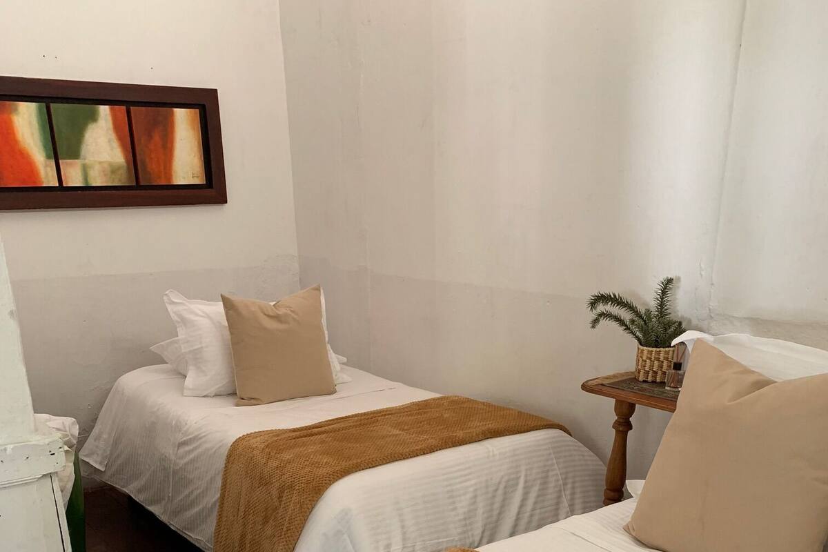Quarto de hotel com duas camas, cada uma com roupa de cama branca e mantas marrons. Há uma pequena mesa com uma planta e um abajur.