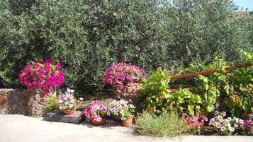 Terrenos do alojamento