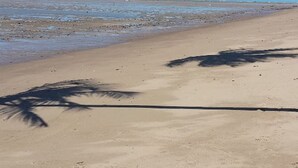 Uma praia com céu claro e águas calmas.