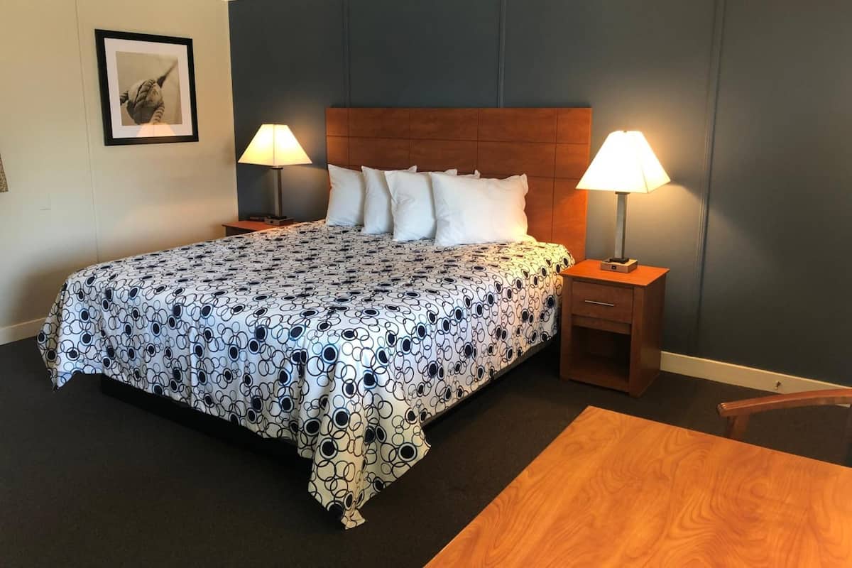 Uma cama bem arrumada com colcha estampada, duas luminárias de cabeceira e um quadro na parede.