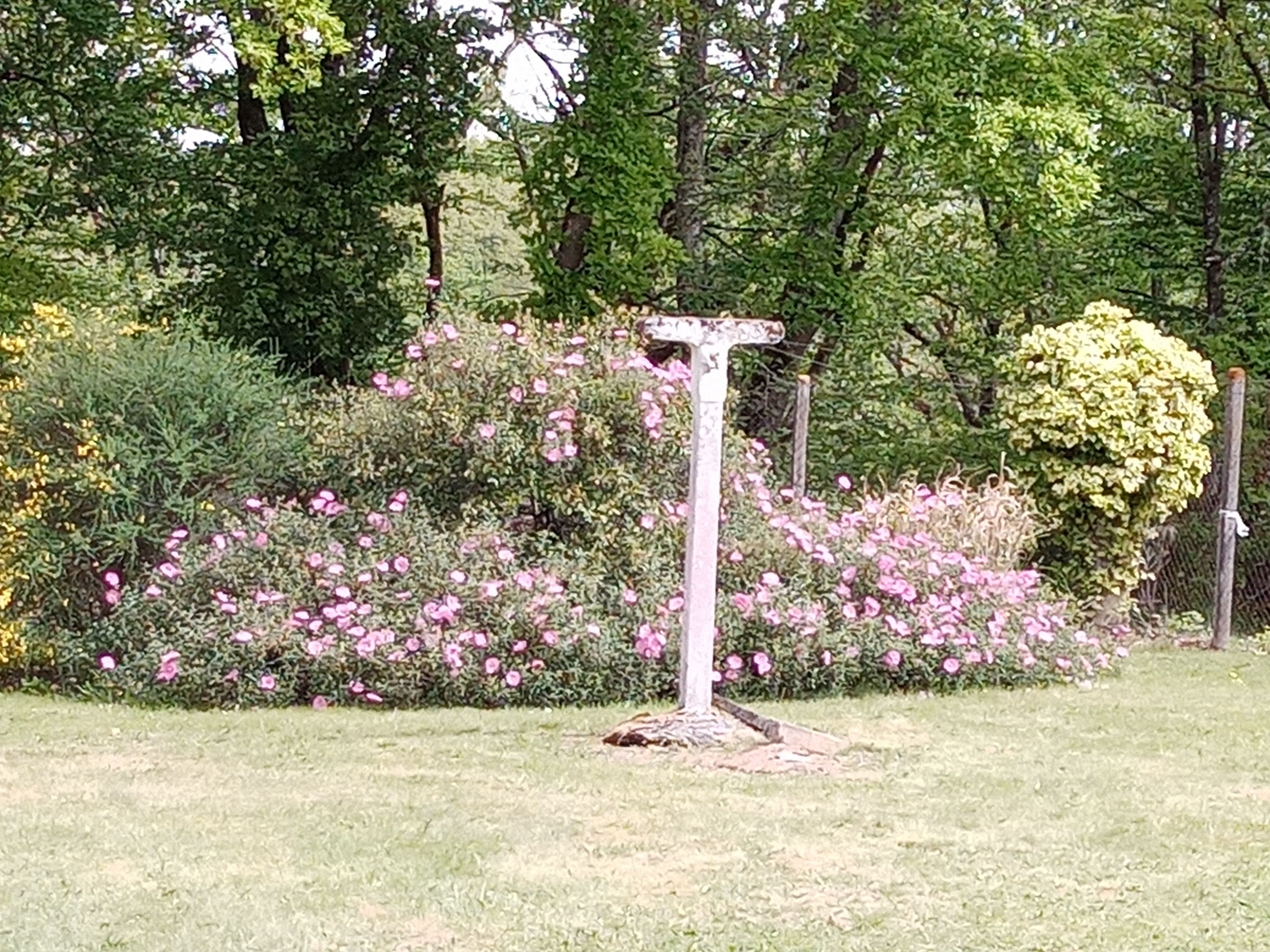 Um jardim com uma estrutura em forma de cruz branca, rodeado por diversas plantas floridas e árvores.