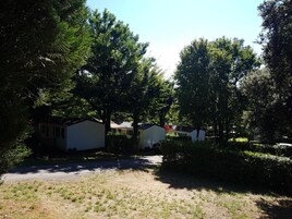 Uma fileira de casas móveis com gramado e árvores.