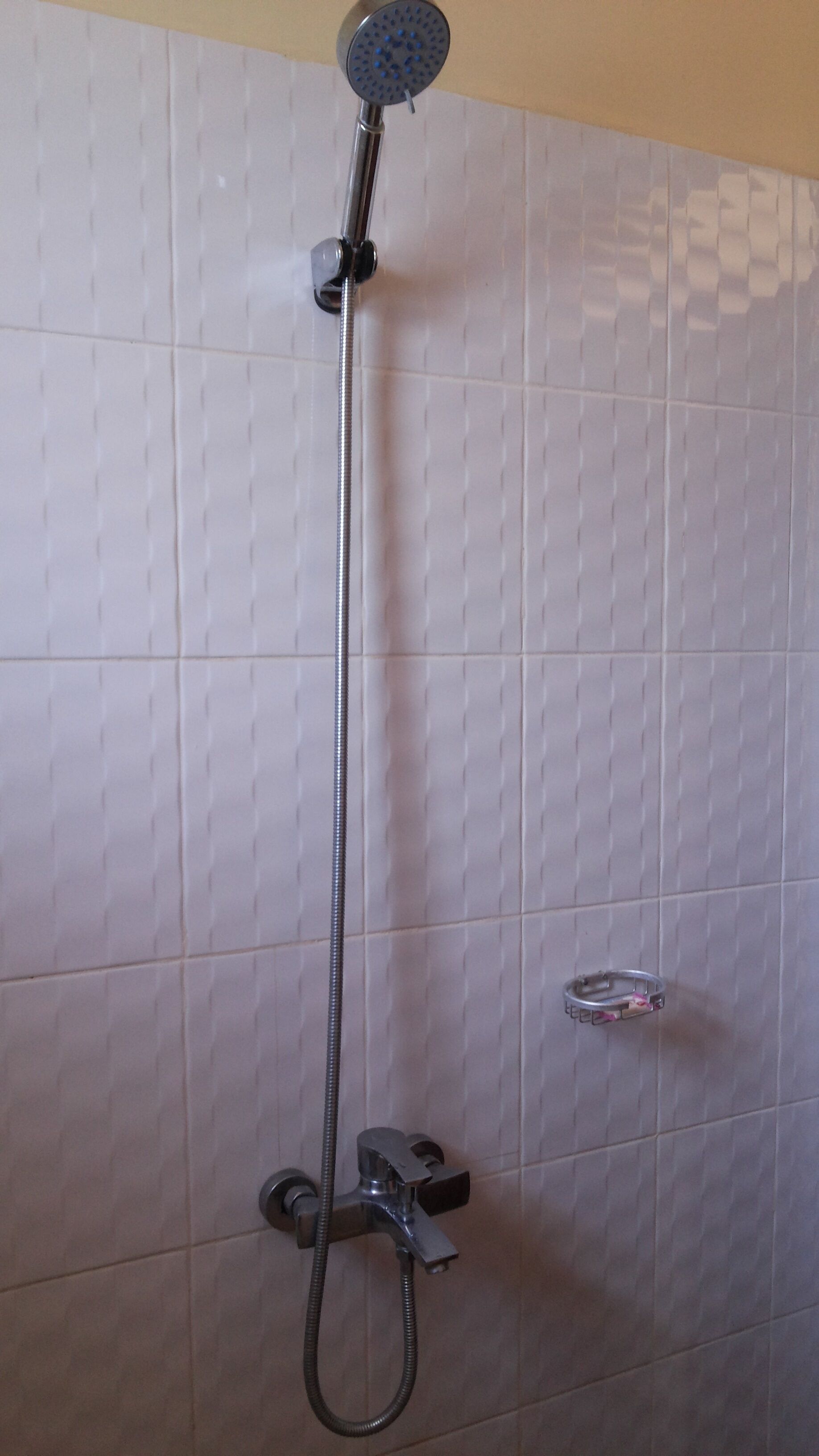 Chuveiro com chuveiro manual e pulverizador de mão.