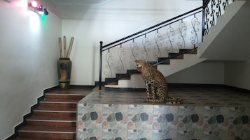 Entrada (vista interior)