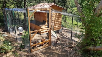 Terrenos do alojamento
