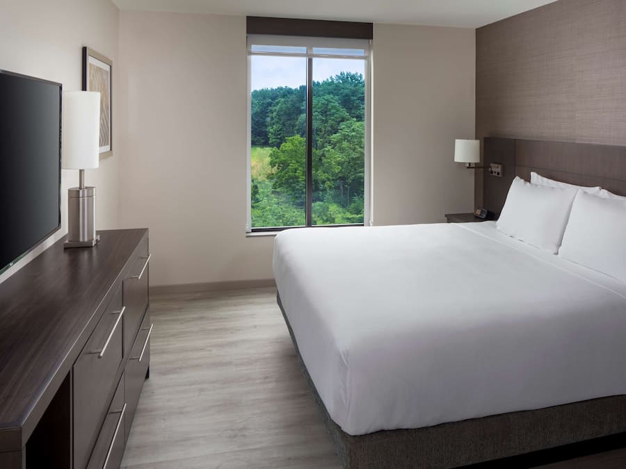 Quarto de hotel moderno com uma cama grande, televisão de tela plana, cômoda e janela com vista para uma floresta.
