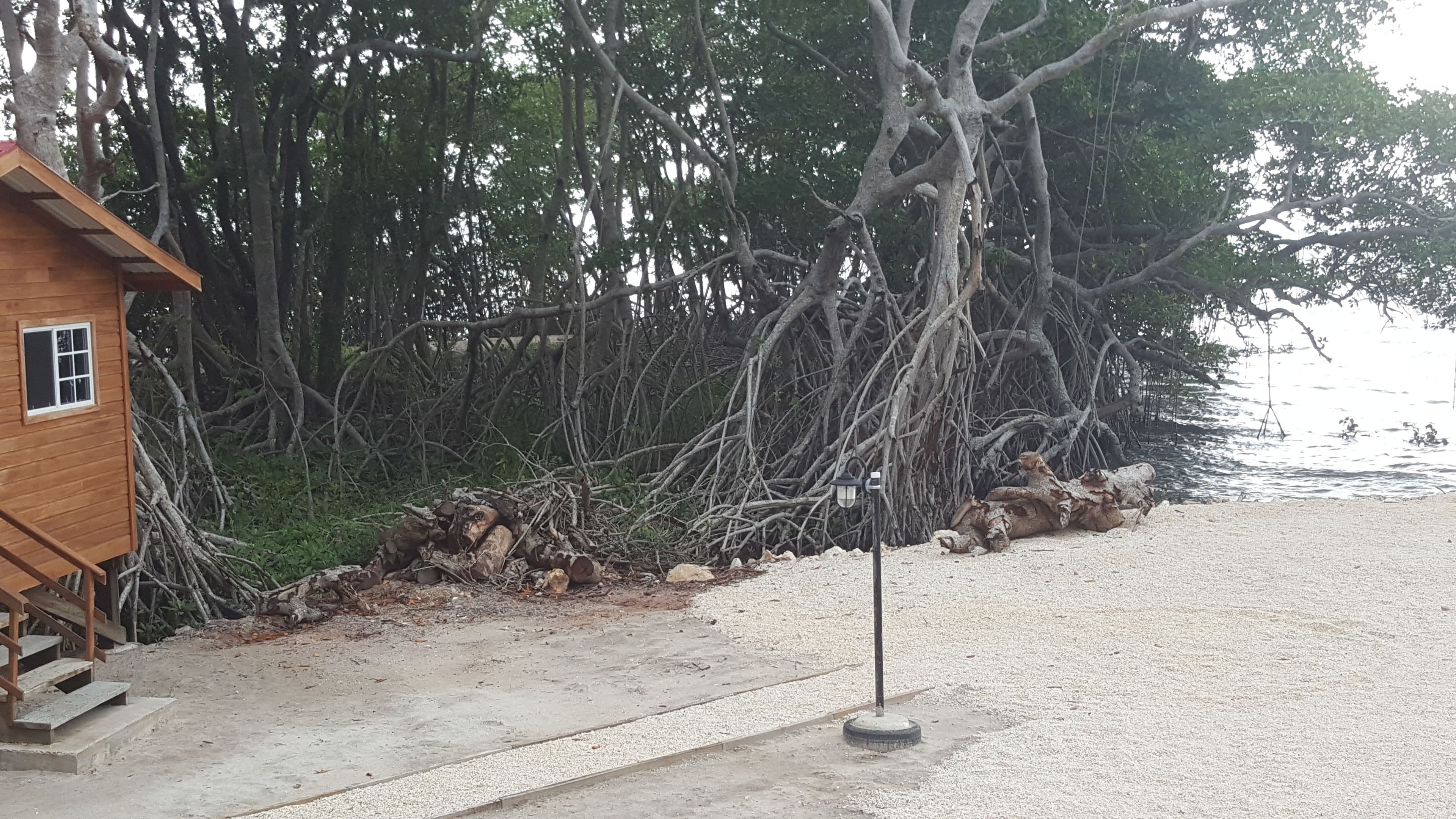 Uma cabana de madeira com um caminho de concreto que leva a uma praia arenosa, cercada por densas árvores de mangue.