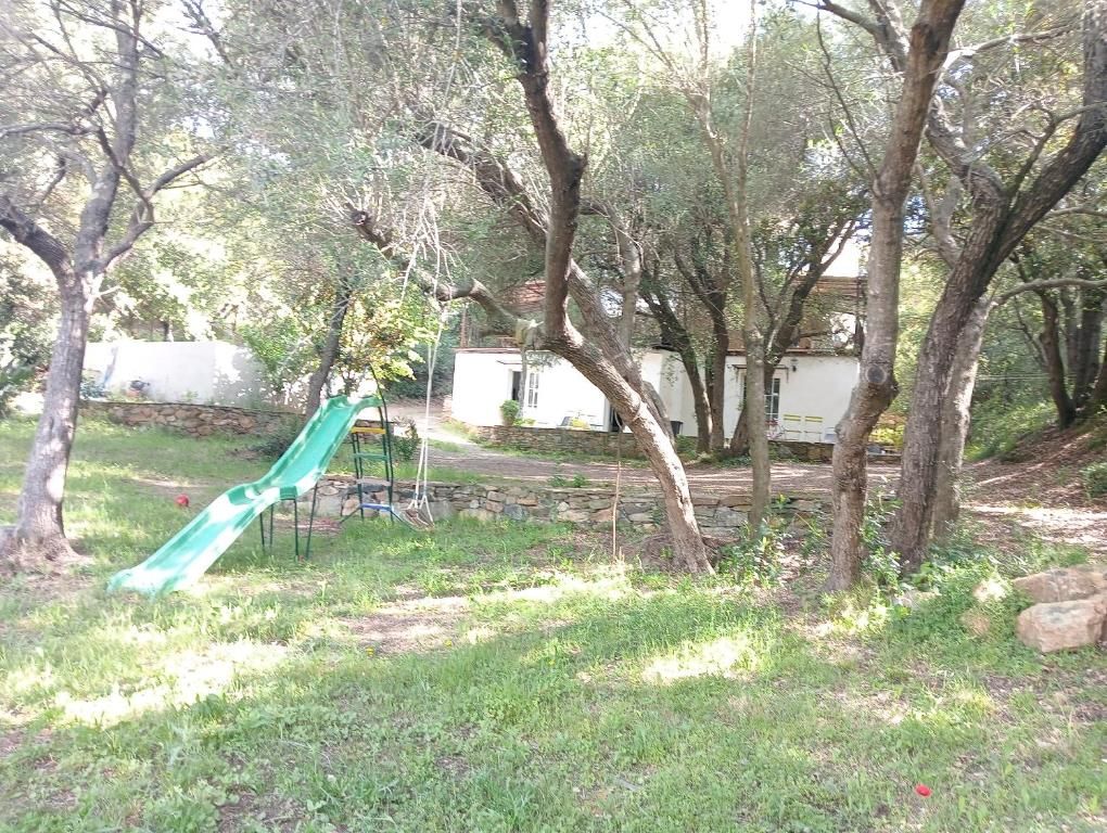Uma área gramada com um escorrega verde, árvores e um edifício branco ao fundo.