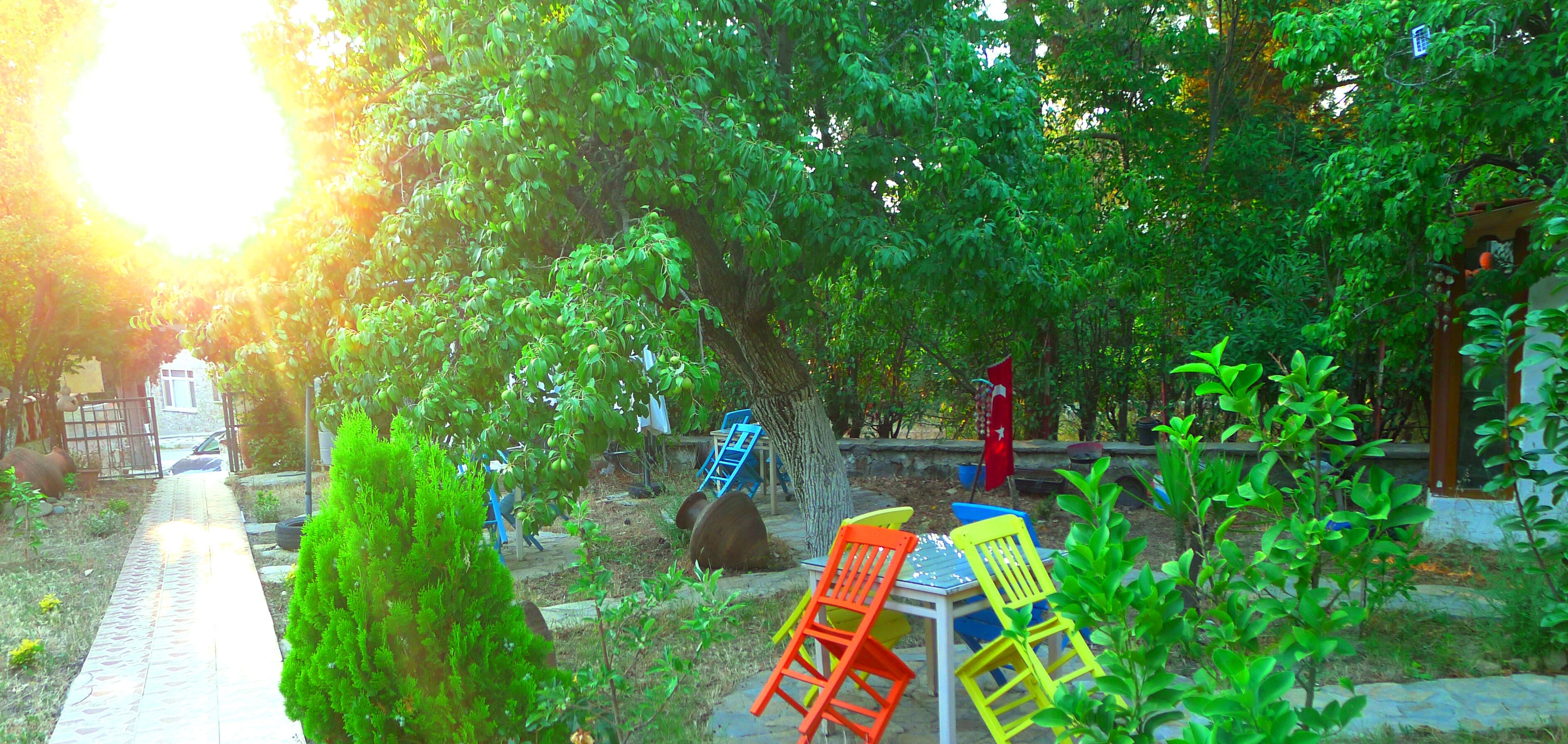 Um jardim com um caminho, uma mesa e cadeiras coloridas.