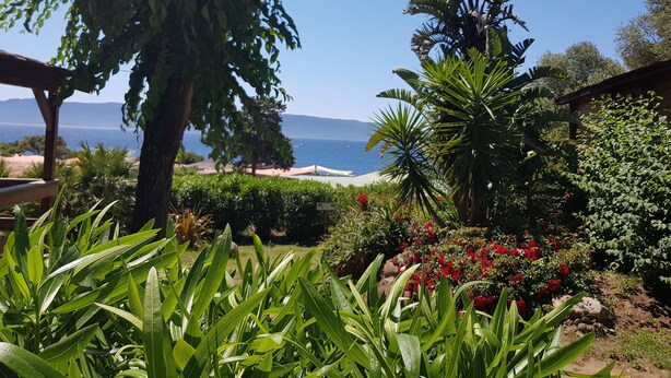 Um jardim com plantas tropicais e vista para o oceano.