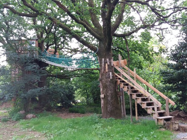 Cabane Dans Les Arbres - Le Nid Dans Le Chêne - Mayenne