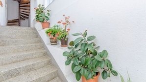 Uma escadaria com plantas em vasos e uma parede branca.