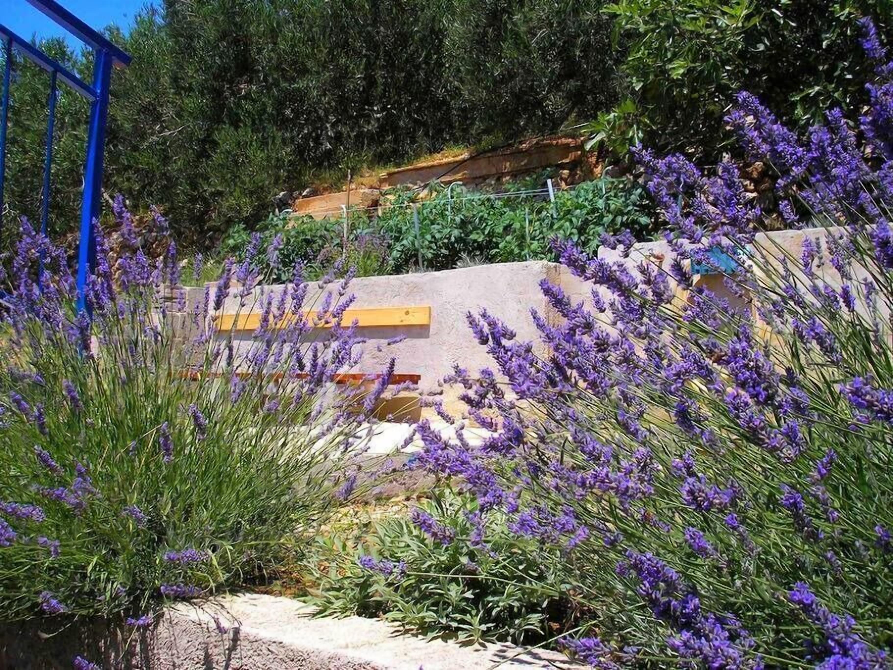 Apartamento (A3) | Pátio interior