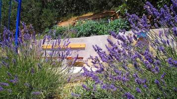 Apartamento (A3) | Pátio interior