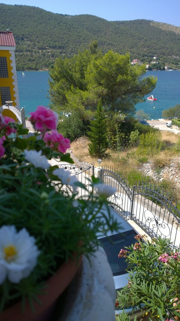 Apartments Nediljka - Sibenik - Hotels.com