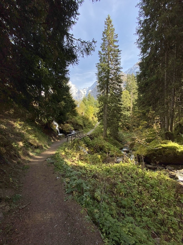 Bien-être Alpin Inhouse - Lauterbrunnen