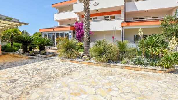 Um edifício moderno com um pátio pavimentado em pedra, rodeado por diversas plantas e uma palmeira.