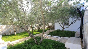 Um jardim com um caminho de pedra, uma árvore e um edifício branco com um cano preto.