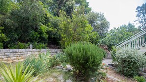 Um jardim com diversas plantas, um muro de pedra e uma escadaria.