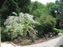 Um jardim com diversas plantas e flores, um caminho de cascalho e uma cerca de madeira.