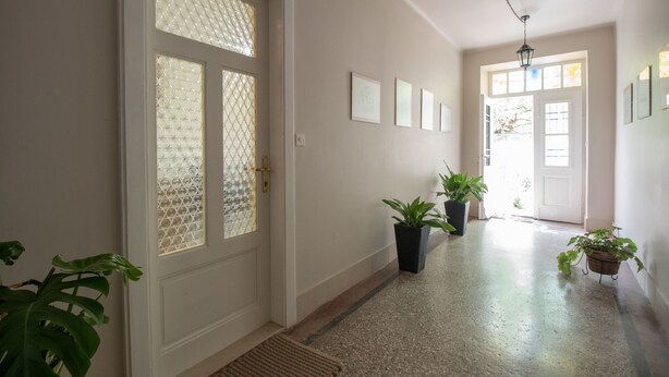 Um corredor com porta branca, plantas em vasos e quadros na parede.