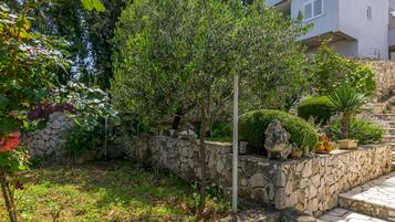 Jardim
