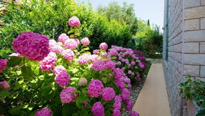 Um jardim com arbustos de hortênsia rosa ao longo de um caminho.