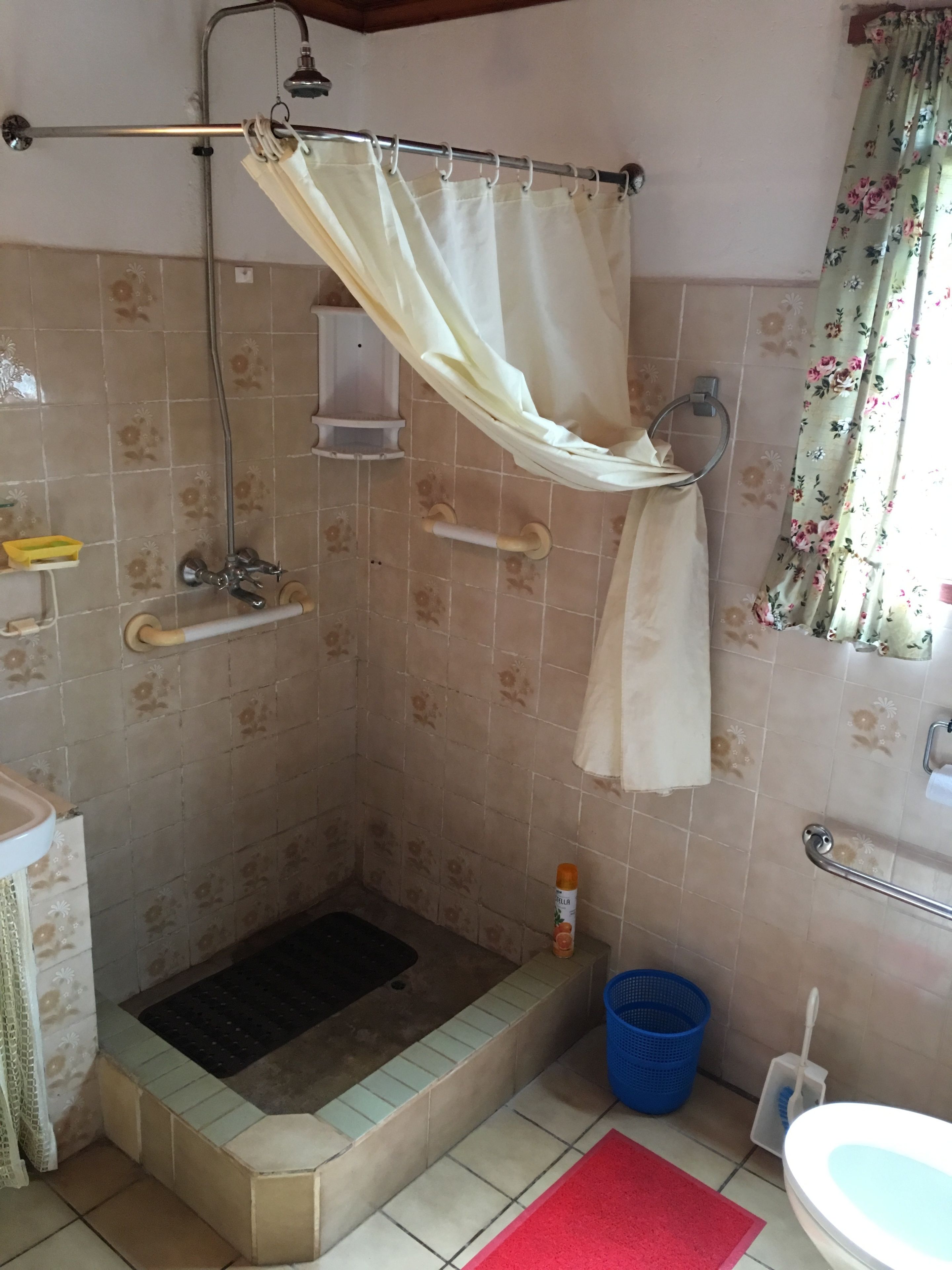Uma casa de banho com chuveiro, sanita, lavatório e um tapete vermelho.