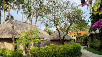 Vista para o jardim