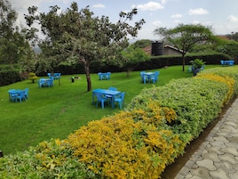 Jardim