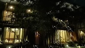 Um edifício com fachada de vidro e uma árvore na frente.