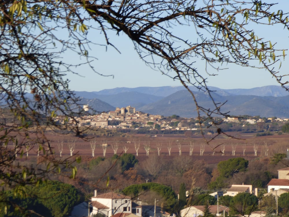 Les Amandiers - Hérault