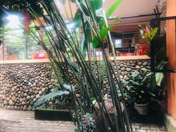 Natures Guesthouse - Kampala