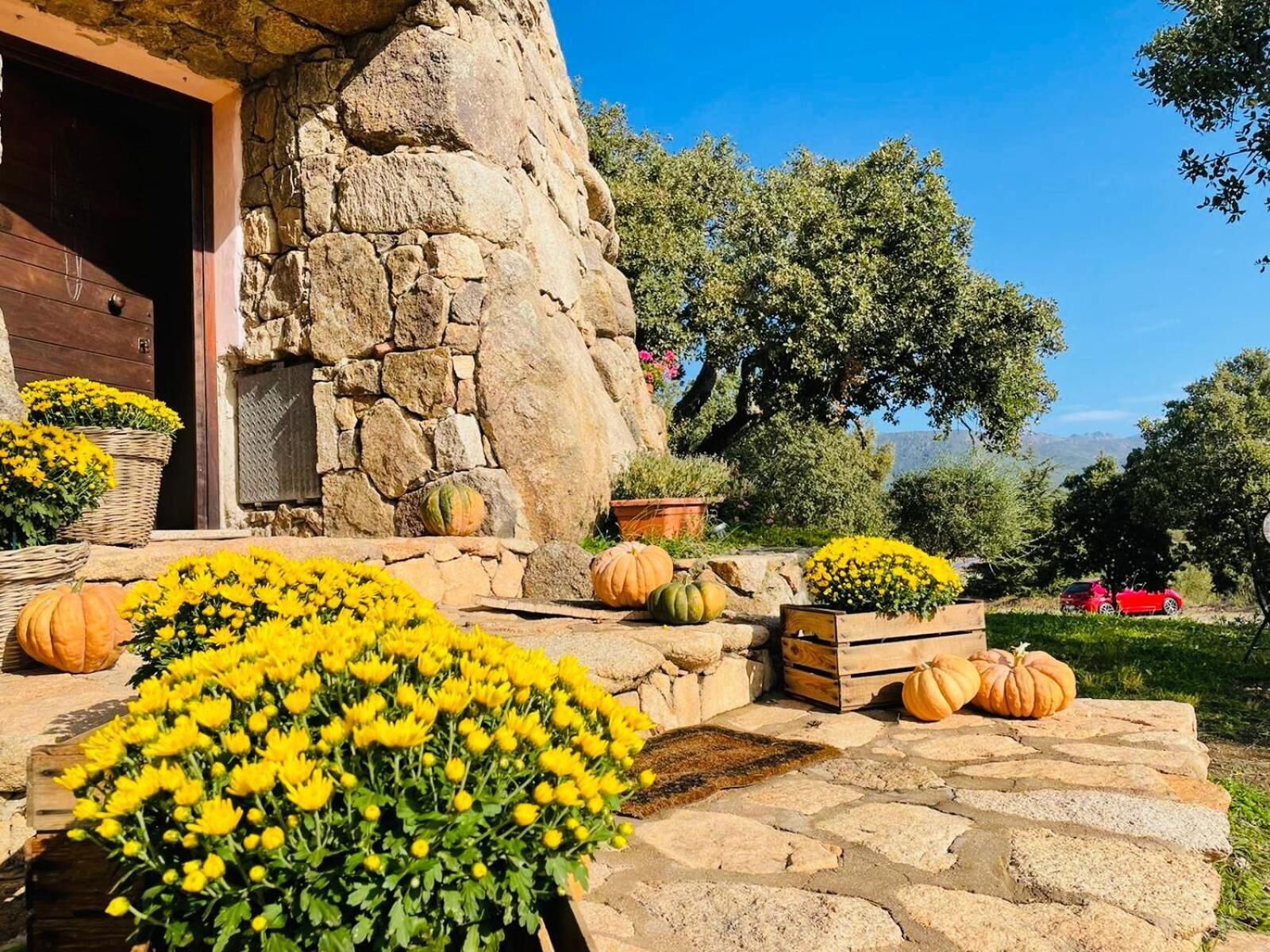 Terrenos do alojamento