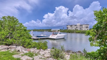 Marina com barcos atracados, cercada por vegetação e um edifício ao fundo.
