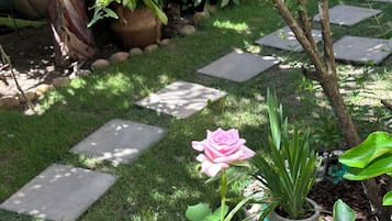 Jardim