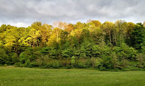 Camping Dans Les Hocking Hills à La Ferme D'altenbrauch - Ohio