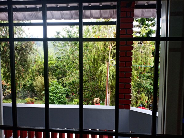 Villa Básica | Vista para o jardim