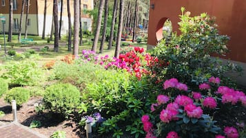 Jardim