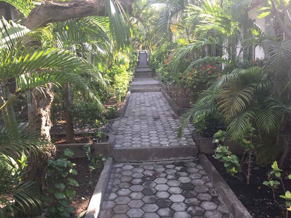 Scuba Tribe Bali Dive-resort - Bali