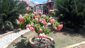 Terraço/pátio interior